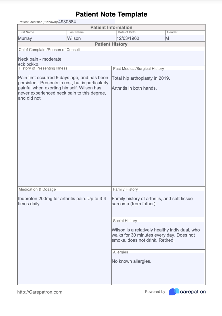 Patient Note Template Example Free PDF Download